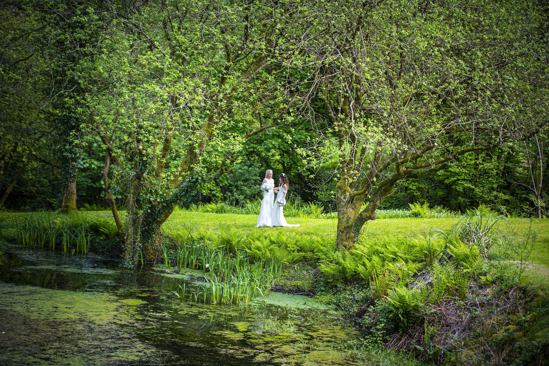 Gallery - Early May Wedding - The Green Cornwall Barn Wedding Venue